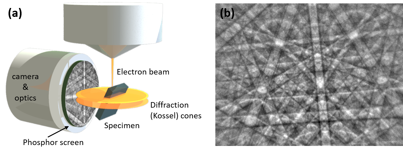 Electron backscatter diffraction – Advanced Materials Diffraction Lab